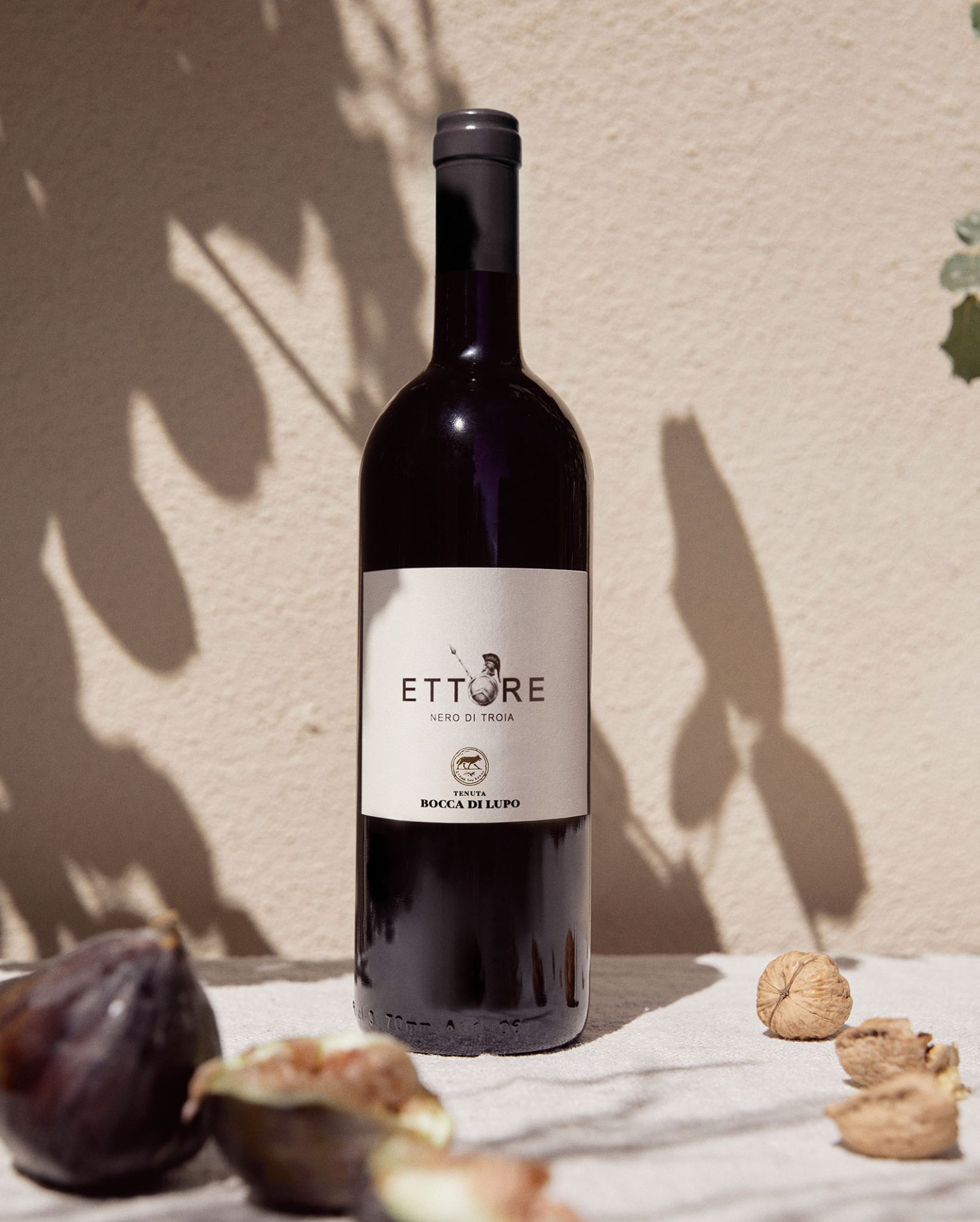 Home - Tenuta Bocca di Lupo